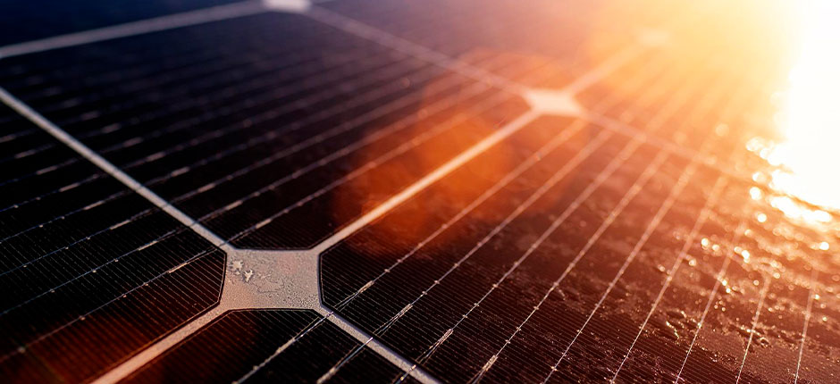 Painel solar de algas produz 5 vezes mais energia, mesmo durante a ...